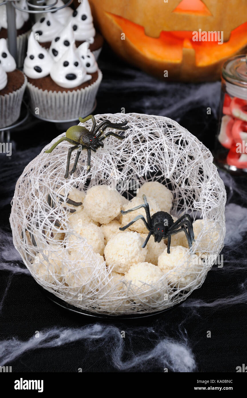 Coconut spider hi-res stock photography and images - Alamy