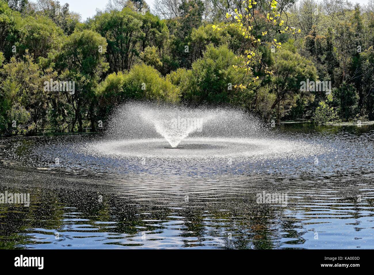 Hyde Park Perth Spring Stock Photo - Alamy
