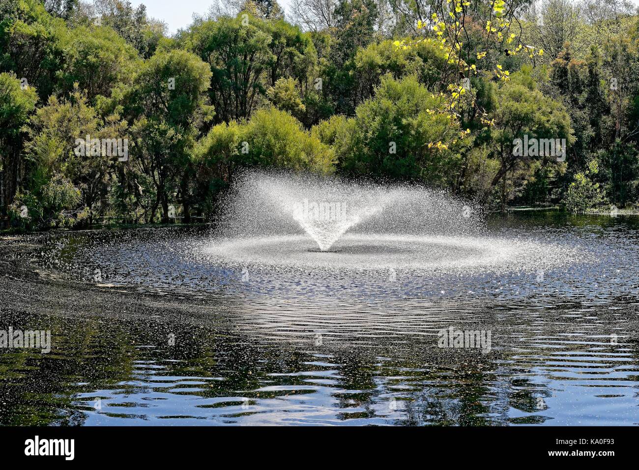 Hyde Park Perth Spring Stock Photo - Alamy