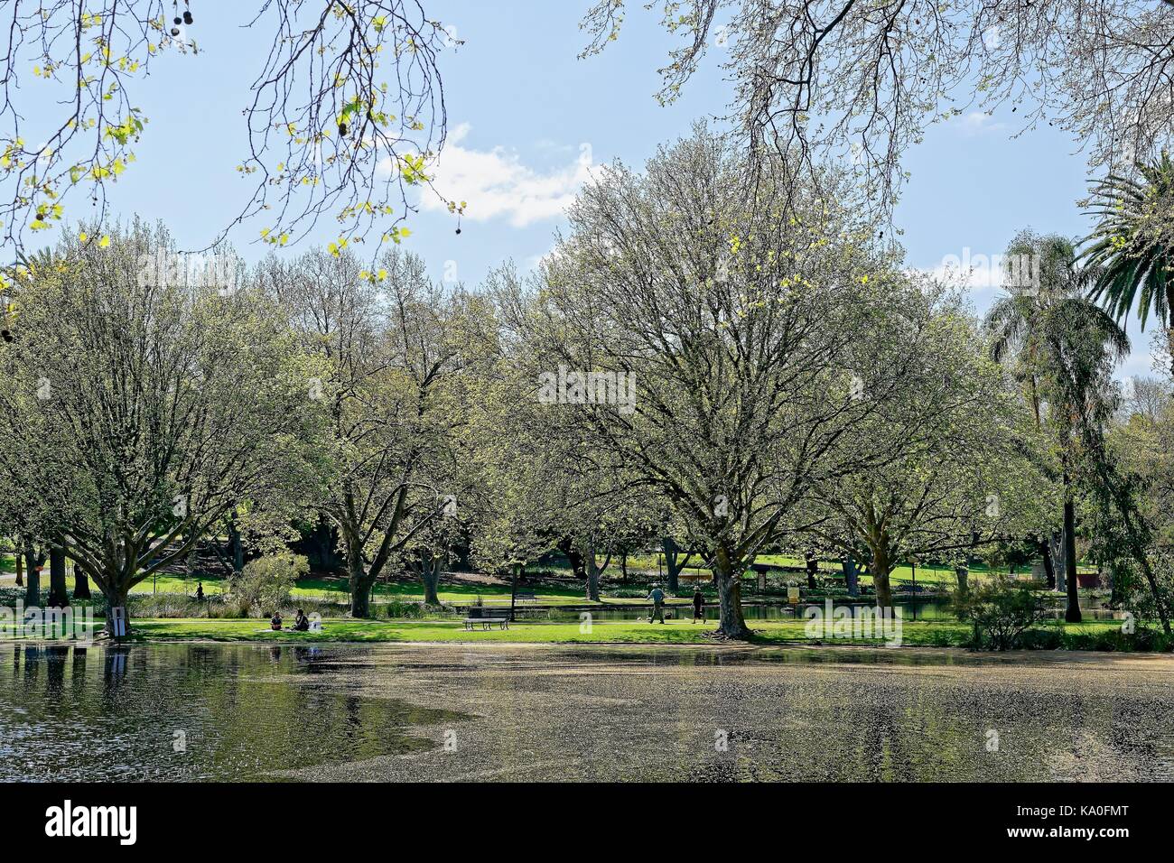 Hyde Park Perth Spring Stock Photo - Alamy