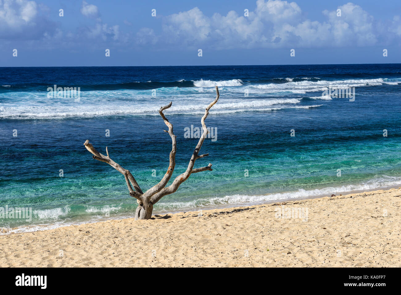 Beach tanna island vanuatu hi-res stock photography and images - Alamy