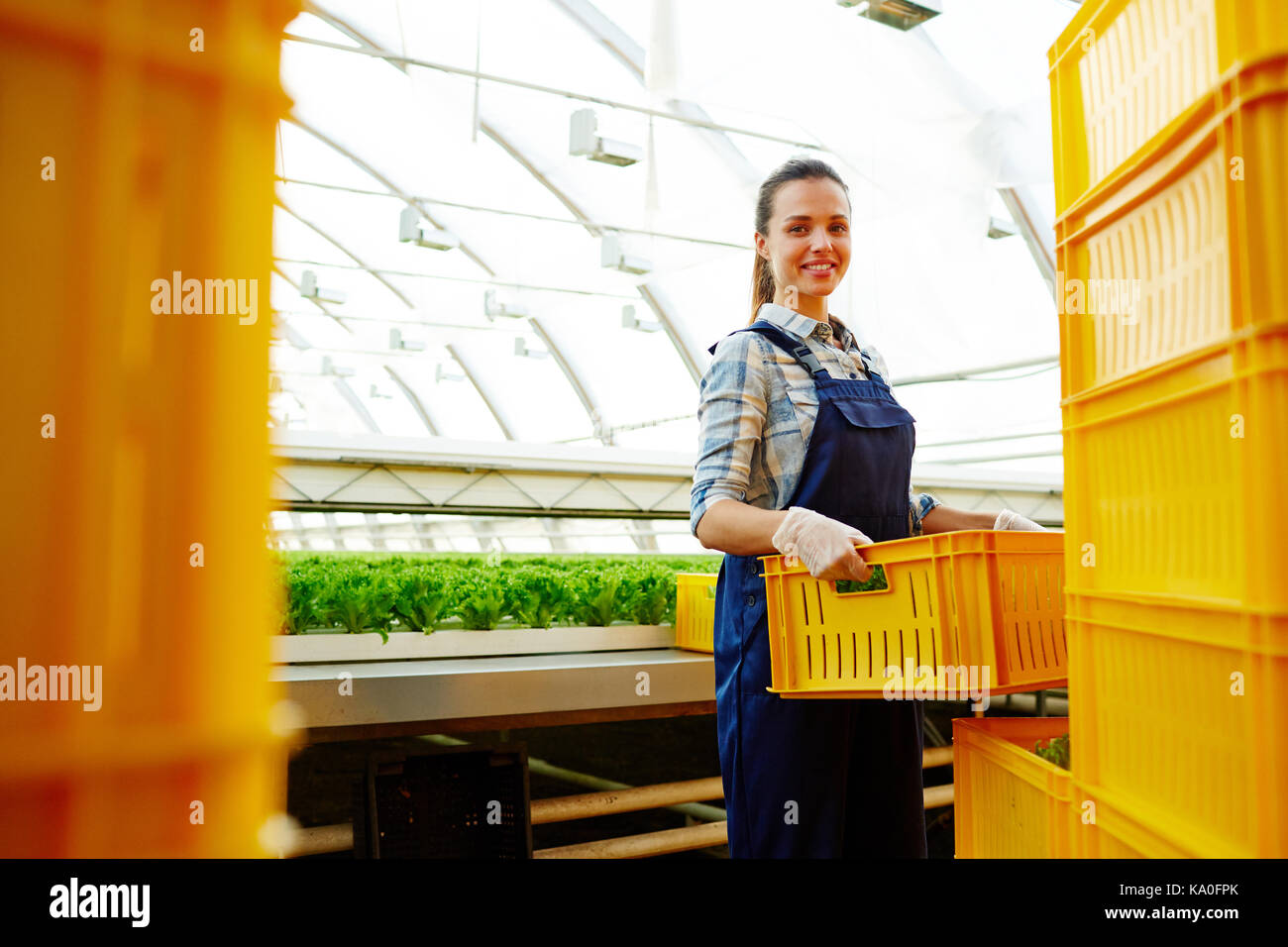 Farmer with plastic box Stock Photo - Alamy