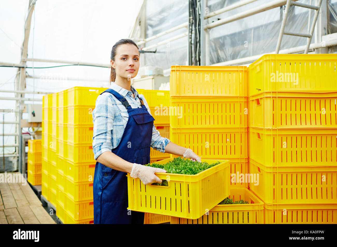 Prepare harvest hi-res stock photography and images - Alamy
