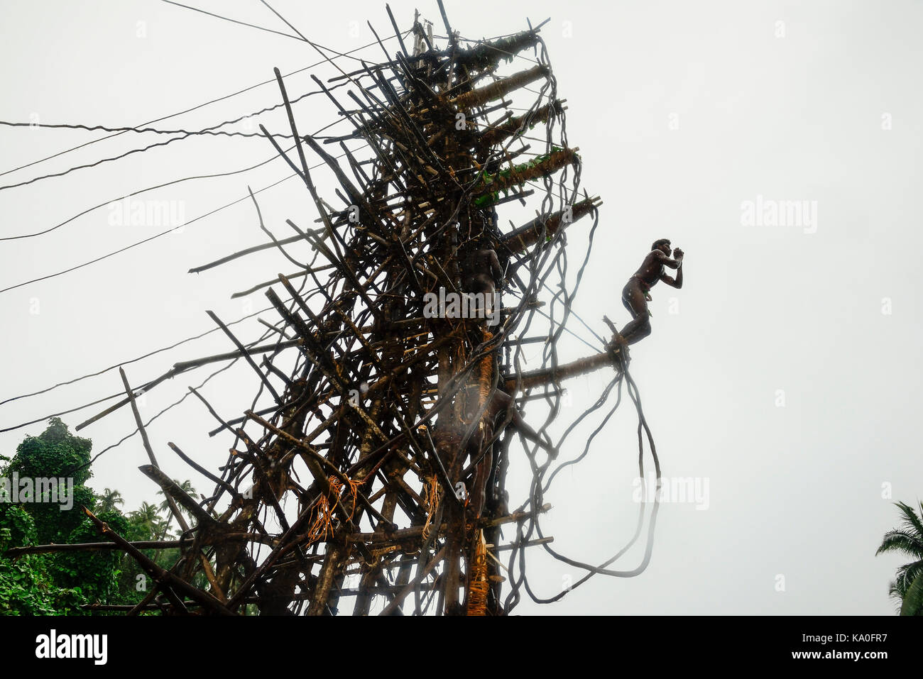 Land diving, Naghol ceremony in the village of Rangsuksuk, Island of ...