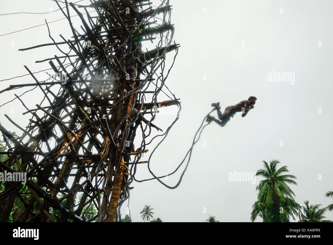 Land diving pentecost island hi-res stock photography and images - Alamy