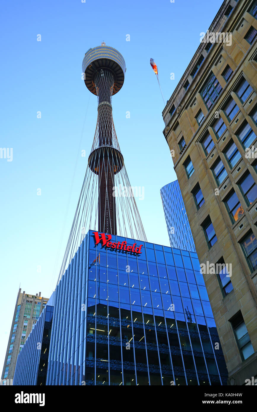 View of the landmark Sydney Tower (Sydney Tower Eye or Westfield ...