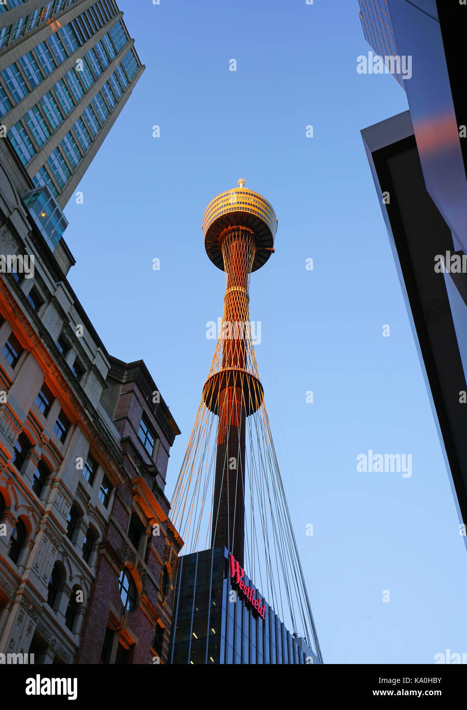 View of the landmark Sydney Tower (Sydney Tower Eye or Westfield ...