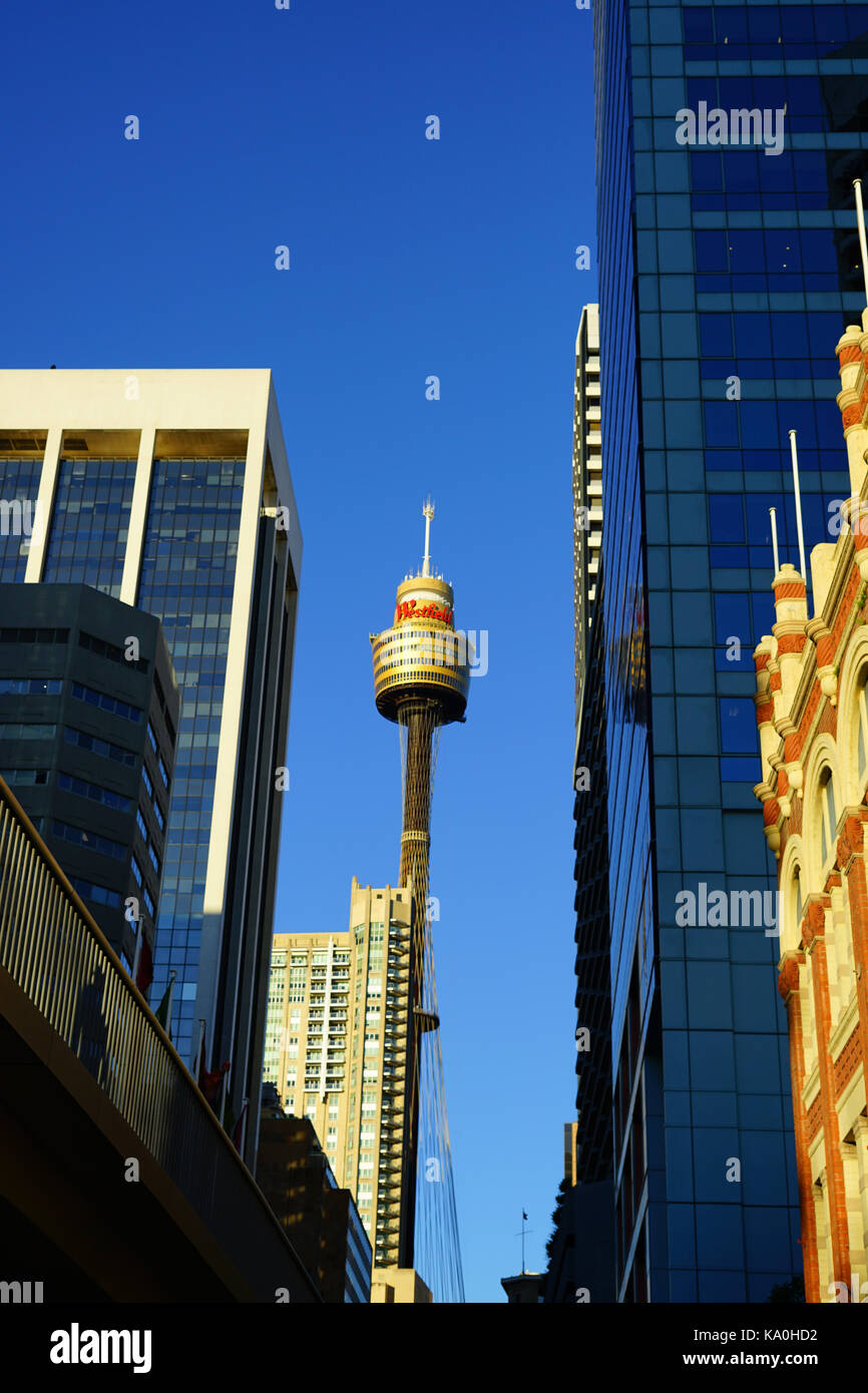 View of the landmark Sydney Tower (Sydney Tower Eye or Westfield ...