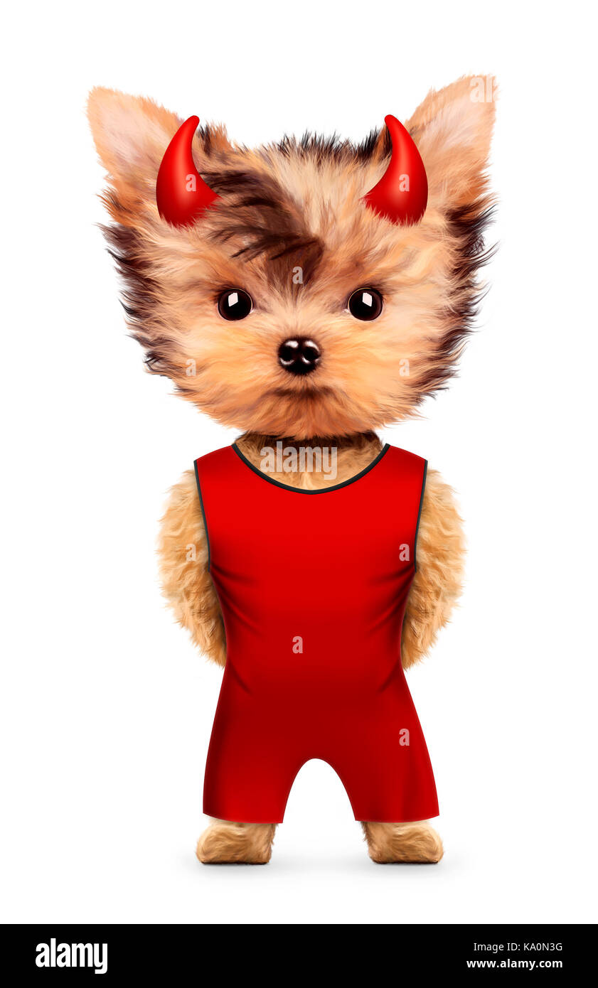 Funny animal Devil. Halloween and Evil concept Stock Photo - Alamy