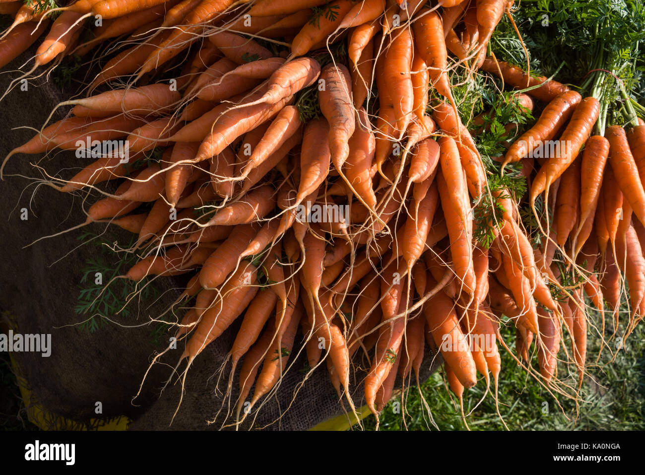 Healthy and red carrot on a market Stock Photo - Alamy