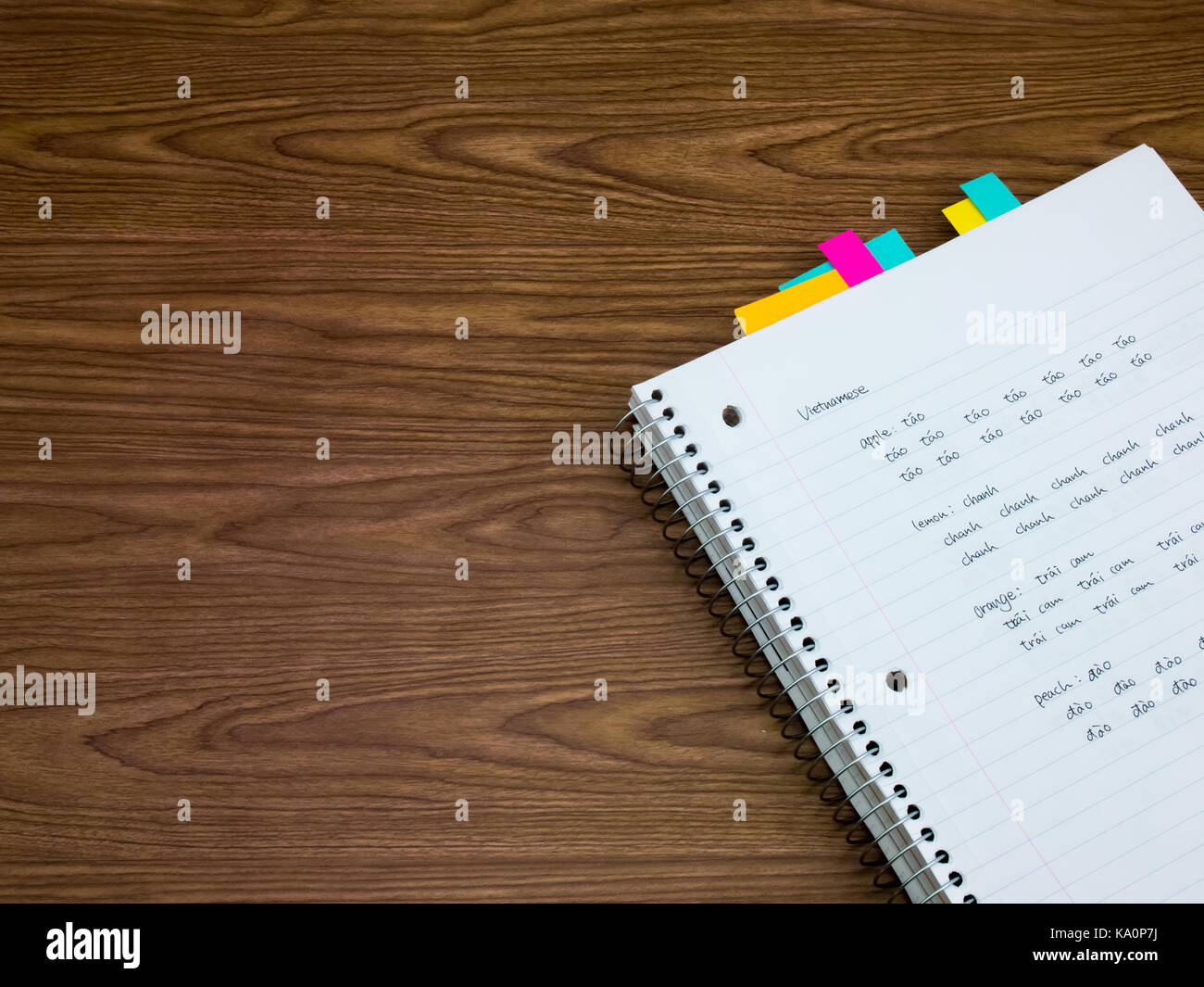 Vietnamese; Learning New Language Writing Words on the Notebook Stock ...