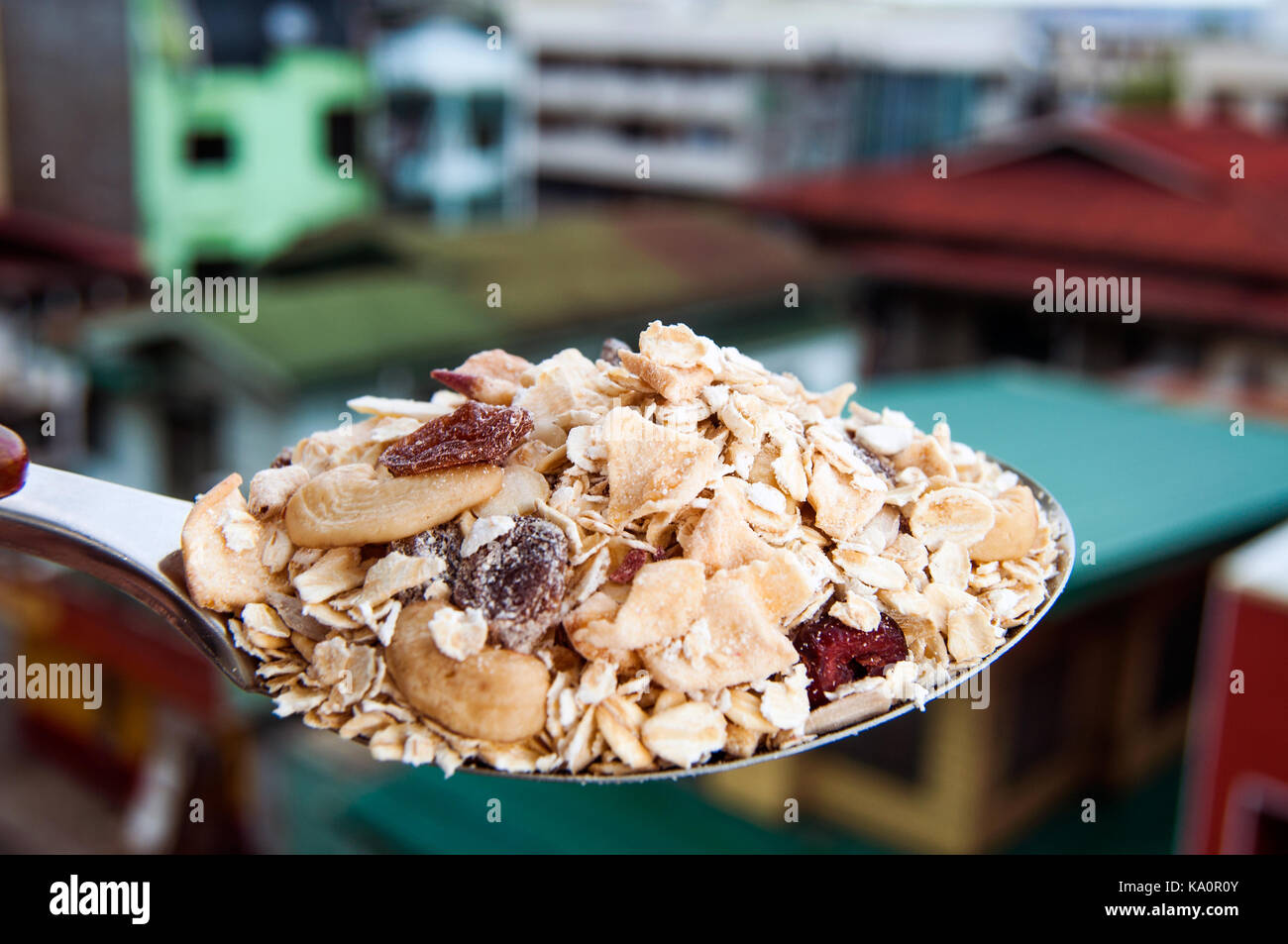 Indoor shot with outdoor background of a large kitchen serving spoon ...