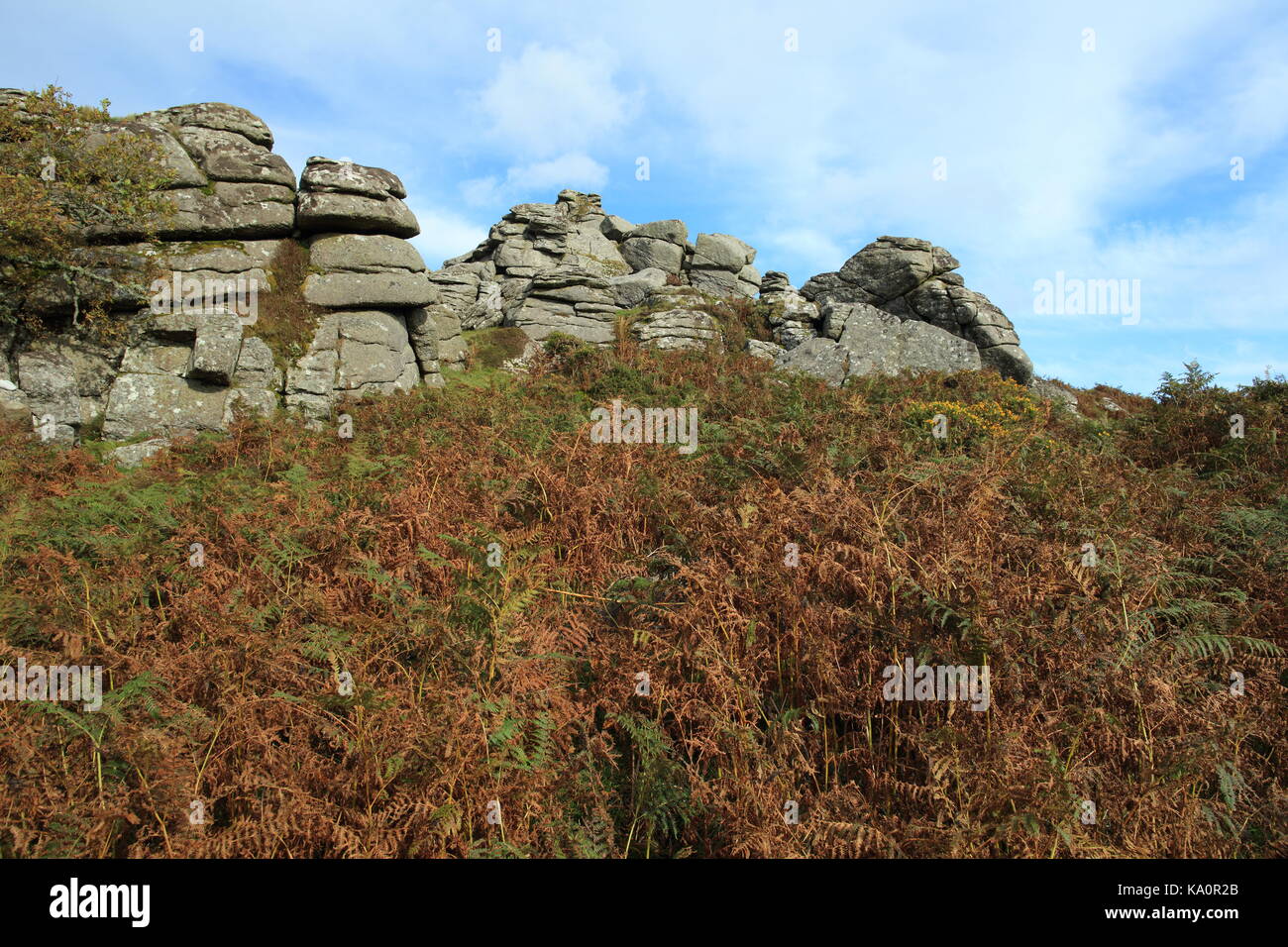 Autumn view of Bonehill rocks, Dartmoor, Devon, England, UK Stock Photo ...
