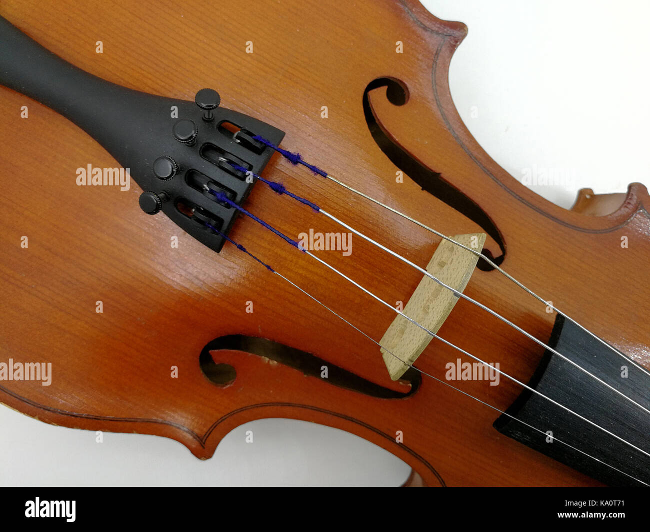 detail of the bridge of a fiddle Stock Photo - Alamy