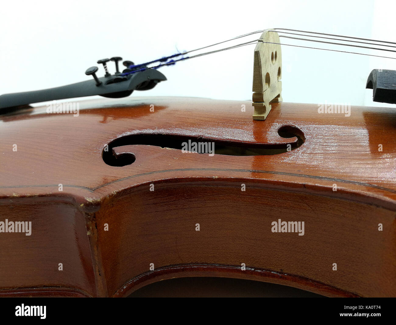 detail of the bridge of a fiddle Stock Photo - Alamy