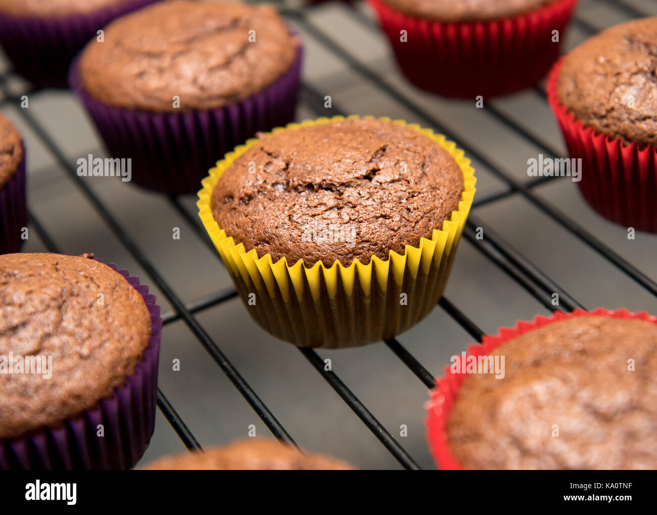 A group of cupcakes in vibrant paper wrappers cooling on a wire rack ...