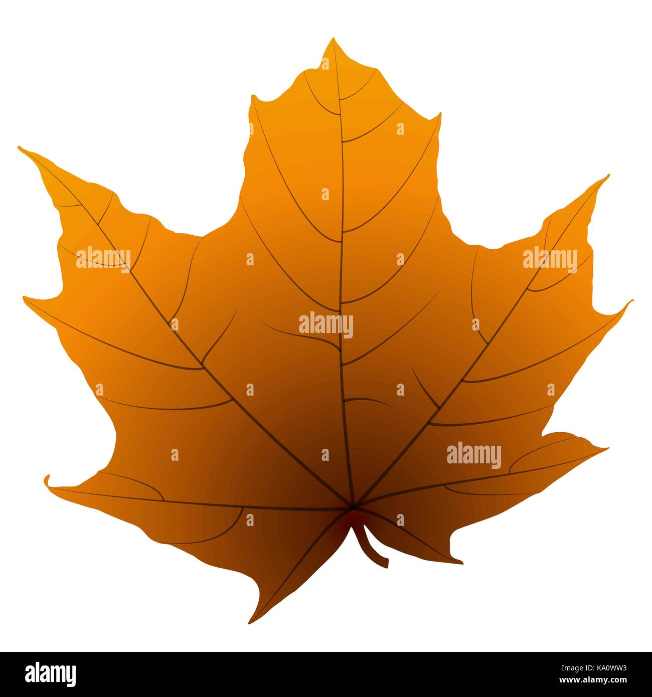 Maple Leaf Isolated on White Background. Vector Illustration Stock ...