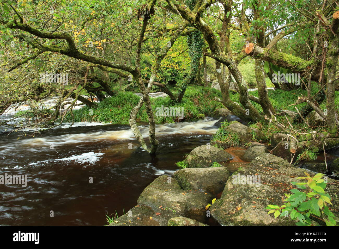 River Dart at Hexworthy bridge, Dartmoor, Devon, England, UK Stock ...