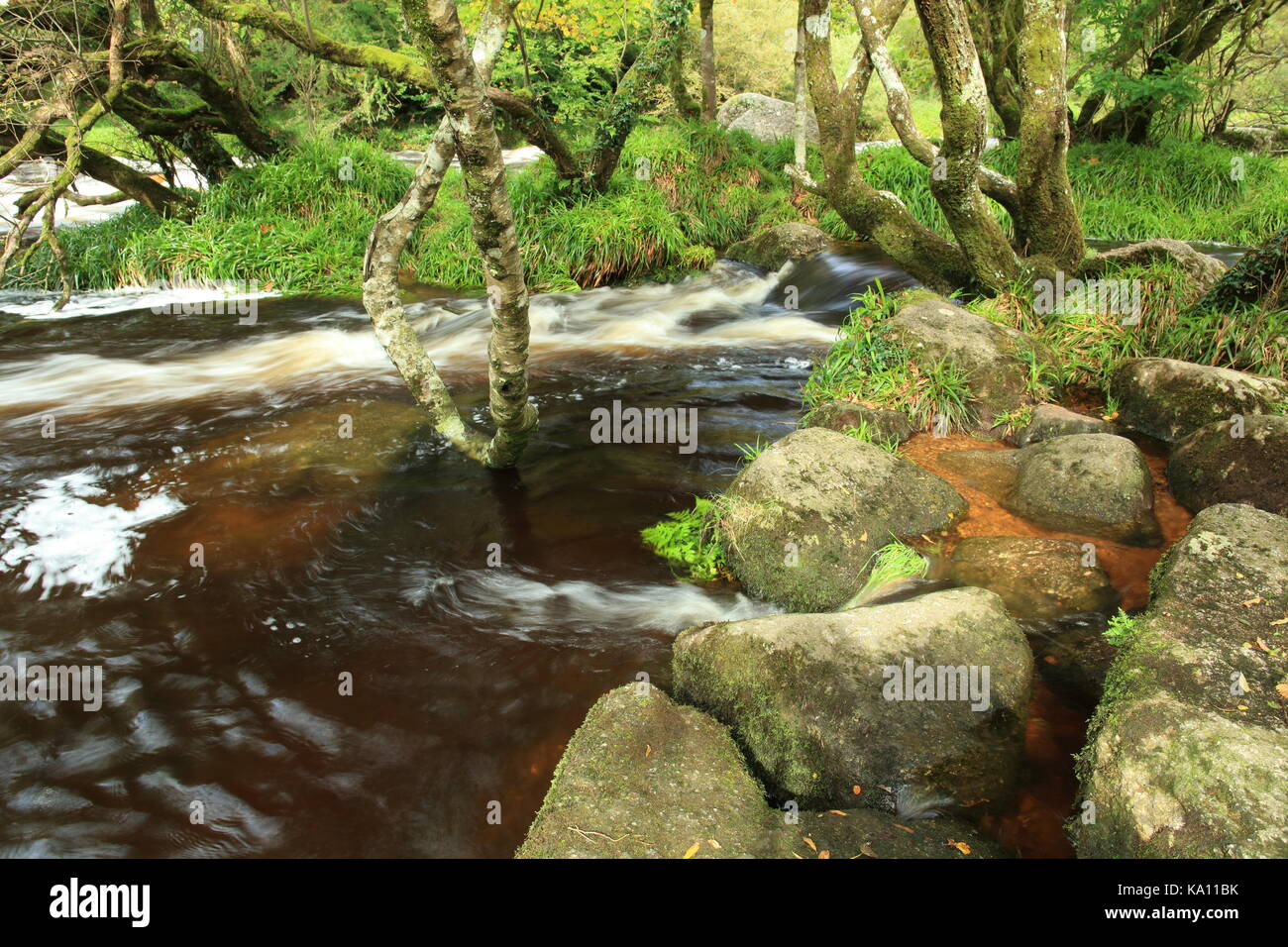 River Dart at Hexworthy bridge, Dartmoor, Devon, England, UK Stock ...