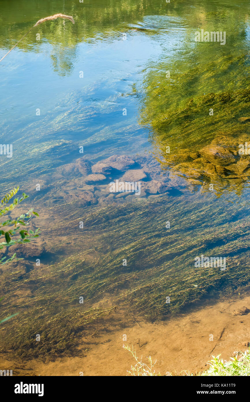Scenery is partially refelcted and the bottom is revealed on the Green ...