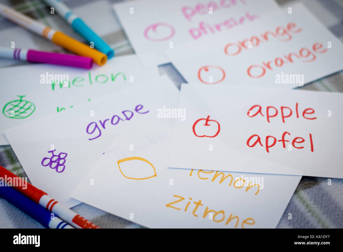 German; Learning New Language with Fruits Name Flash Cards Stock Photo ...