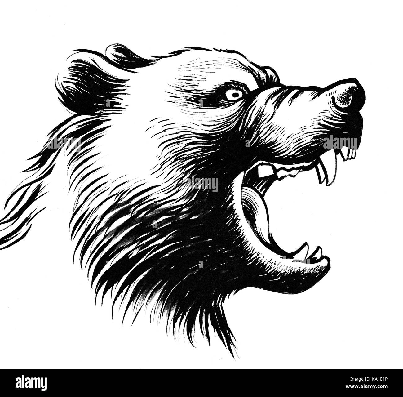 Mad grizzly bear hi-res stock photography and images - Alamy