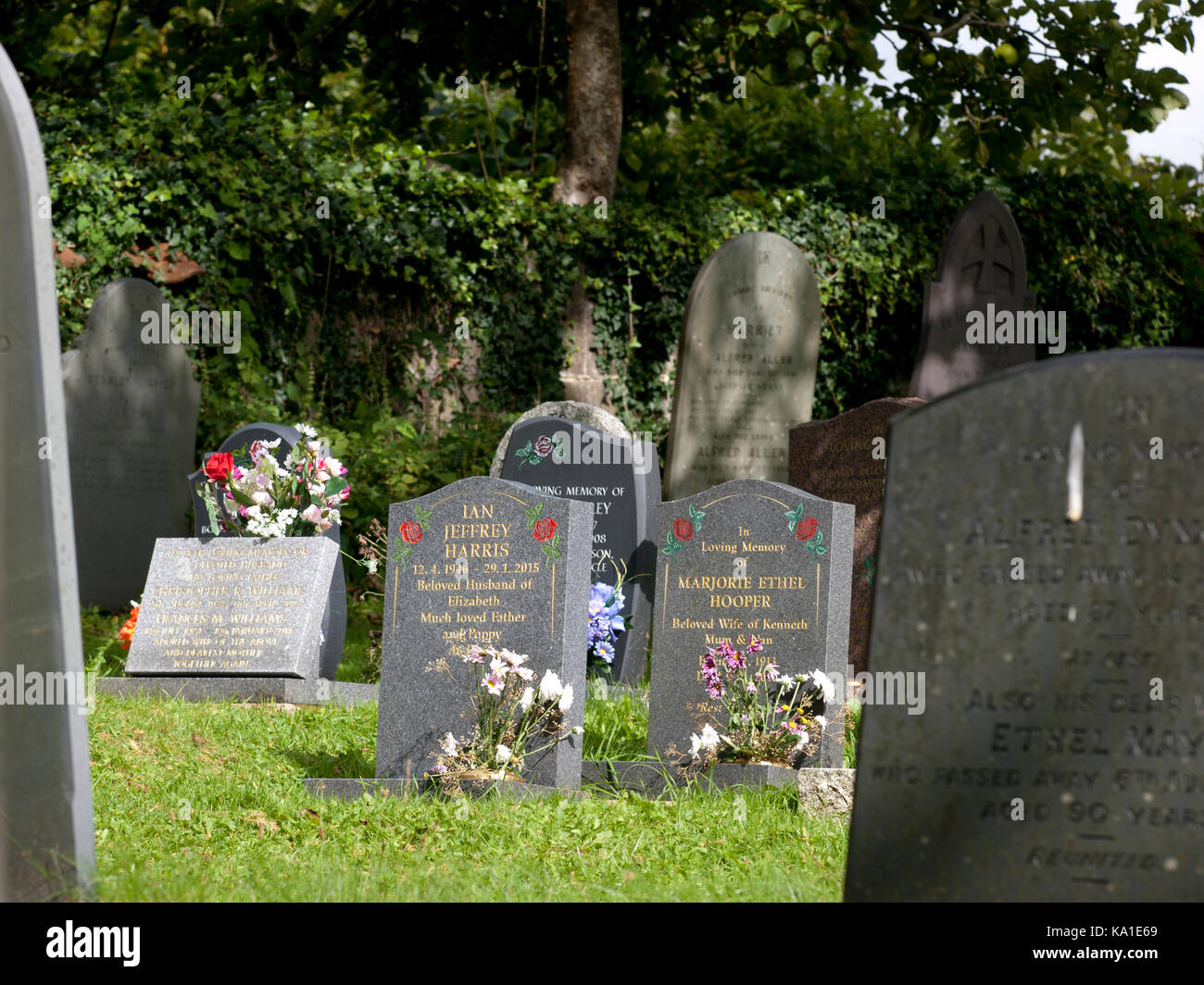 Death dead graveyard grave yard hi-res stock photography and images - Alamy