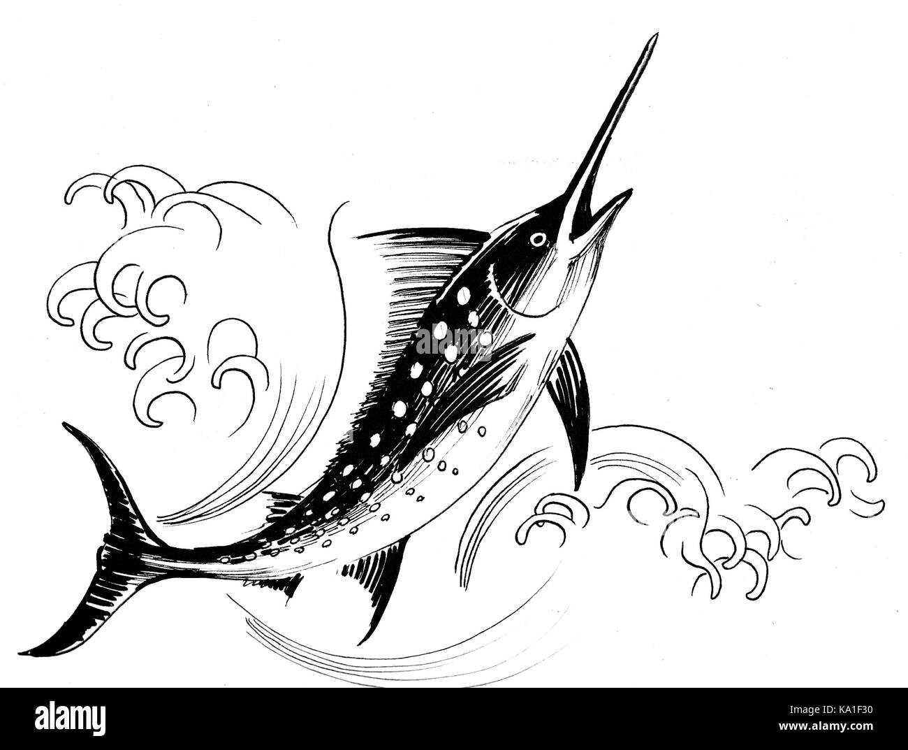 Black sword fish hi-res stock photography and images - Alamy