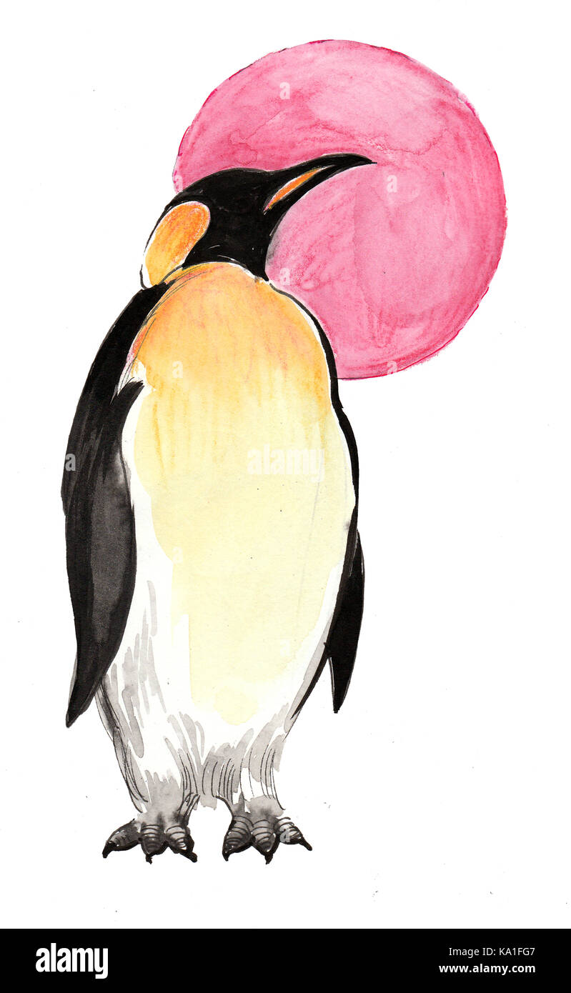 Penguin and sun Stock Photo - Alamy