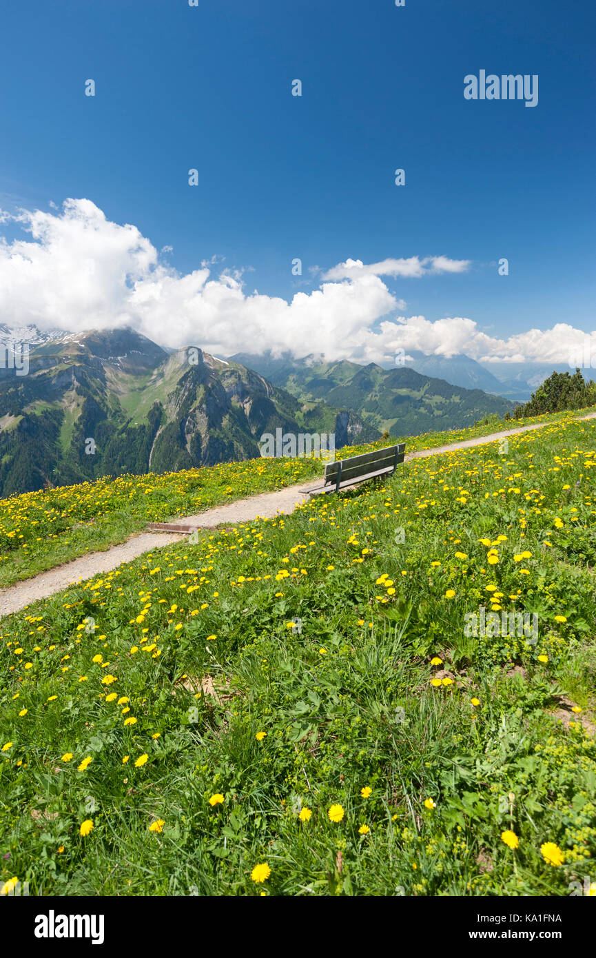 Switzerland bench hi-res stock photography and images - Alamy