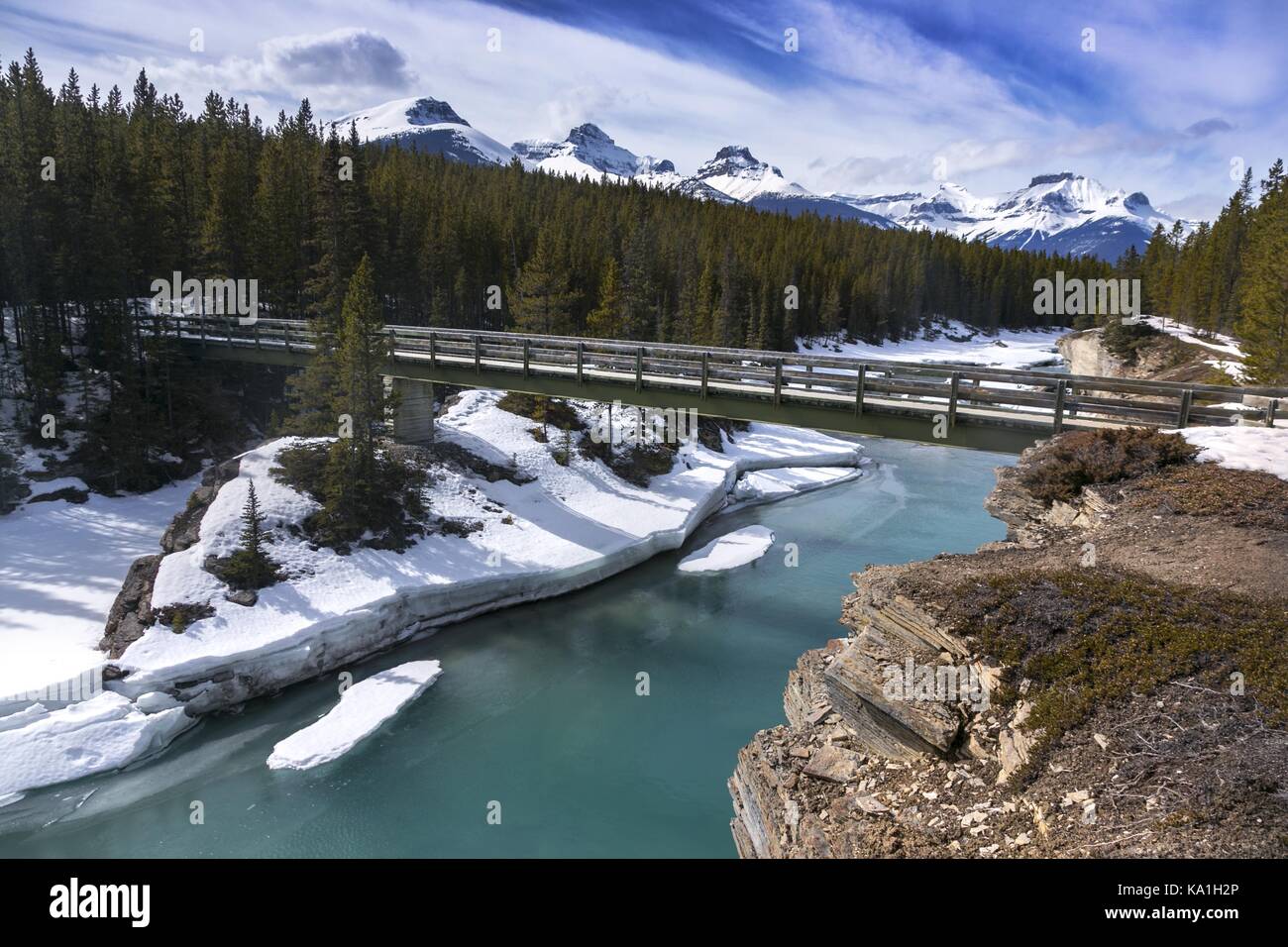Saskatchewan River Landscape