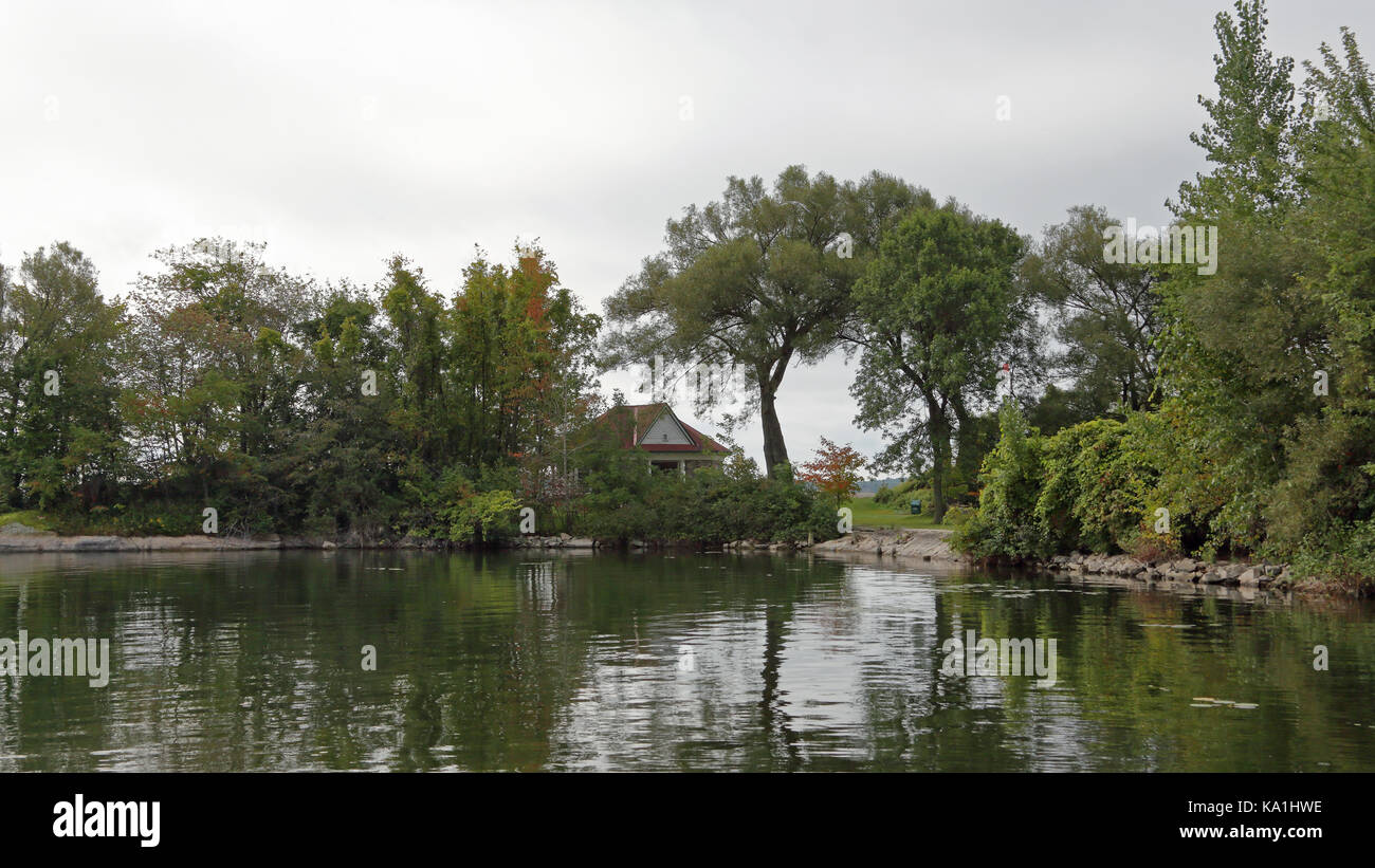 Trees rocks and lilly pads in a bay along the St Lawrence River at the ...