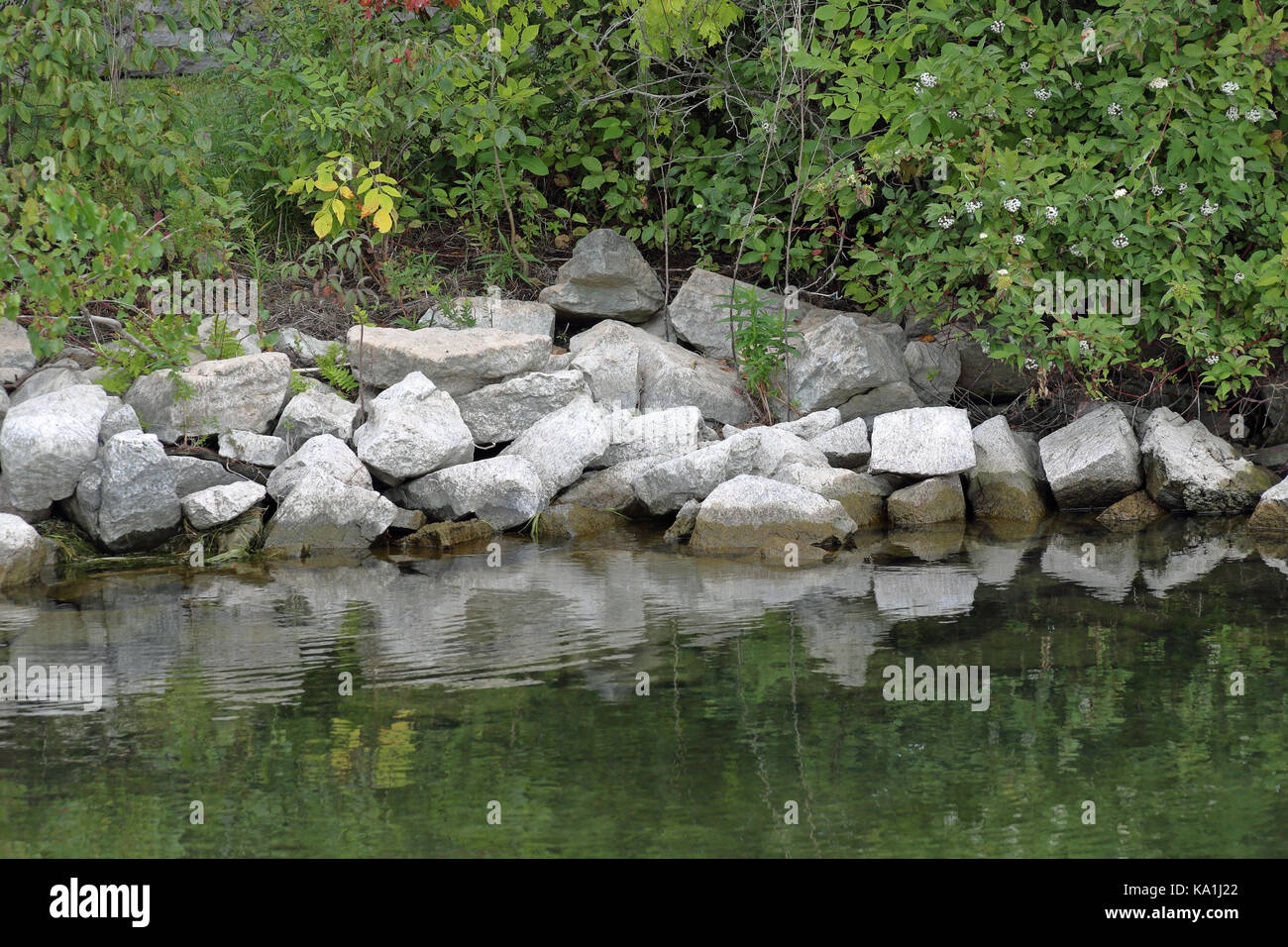 Rivers edge with rocks and trees and reflections on the St. Lawrence ...