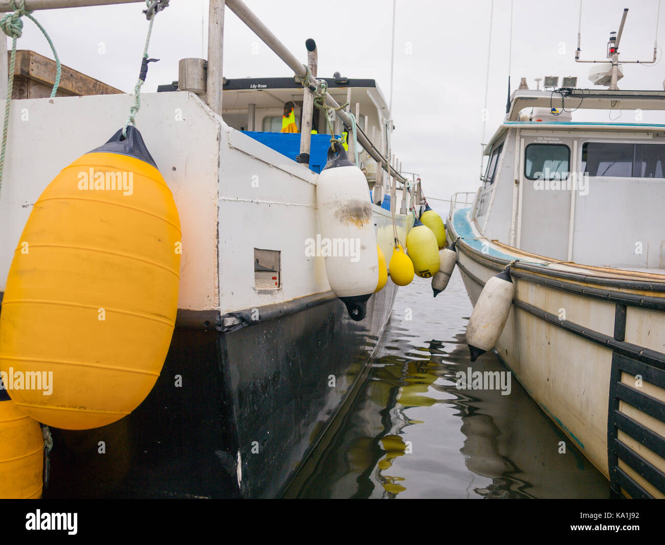 Lobster buoys fishing boats new hi-res stock photography and images - Alamy