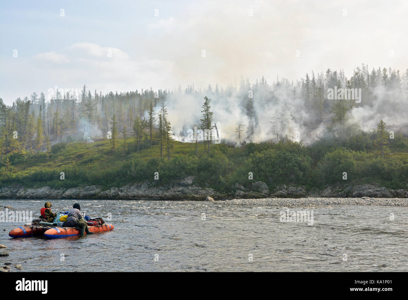 Forest fire. Taiga of the Polar Urals in smoke and flame Stock Photo ...