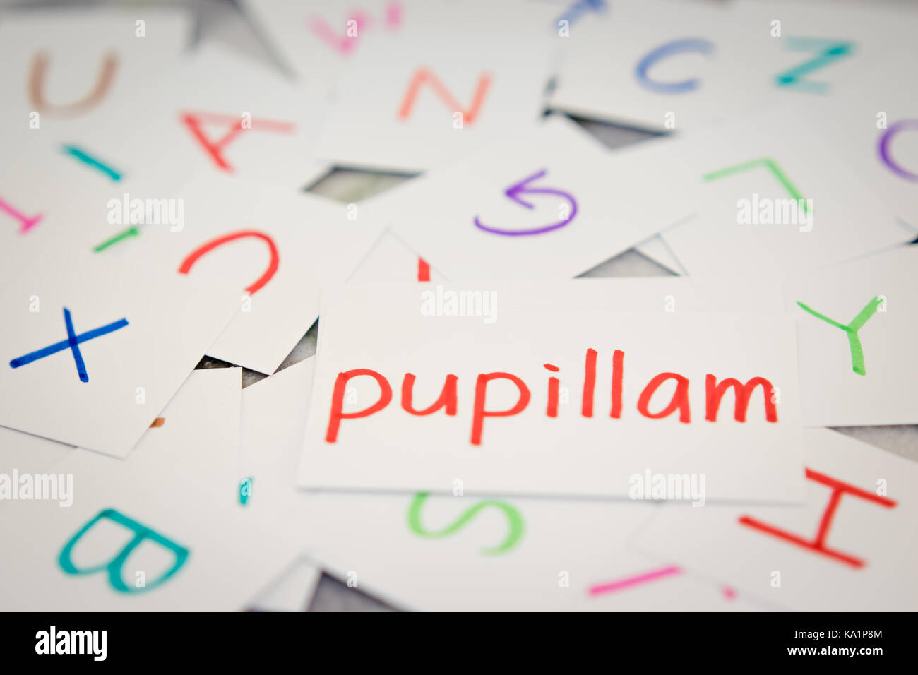 Latin; Learning the New Word with the Alphabet Cards (Translation ...