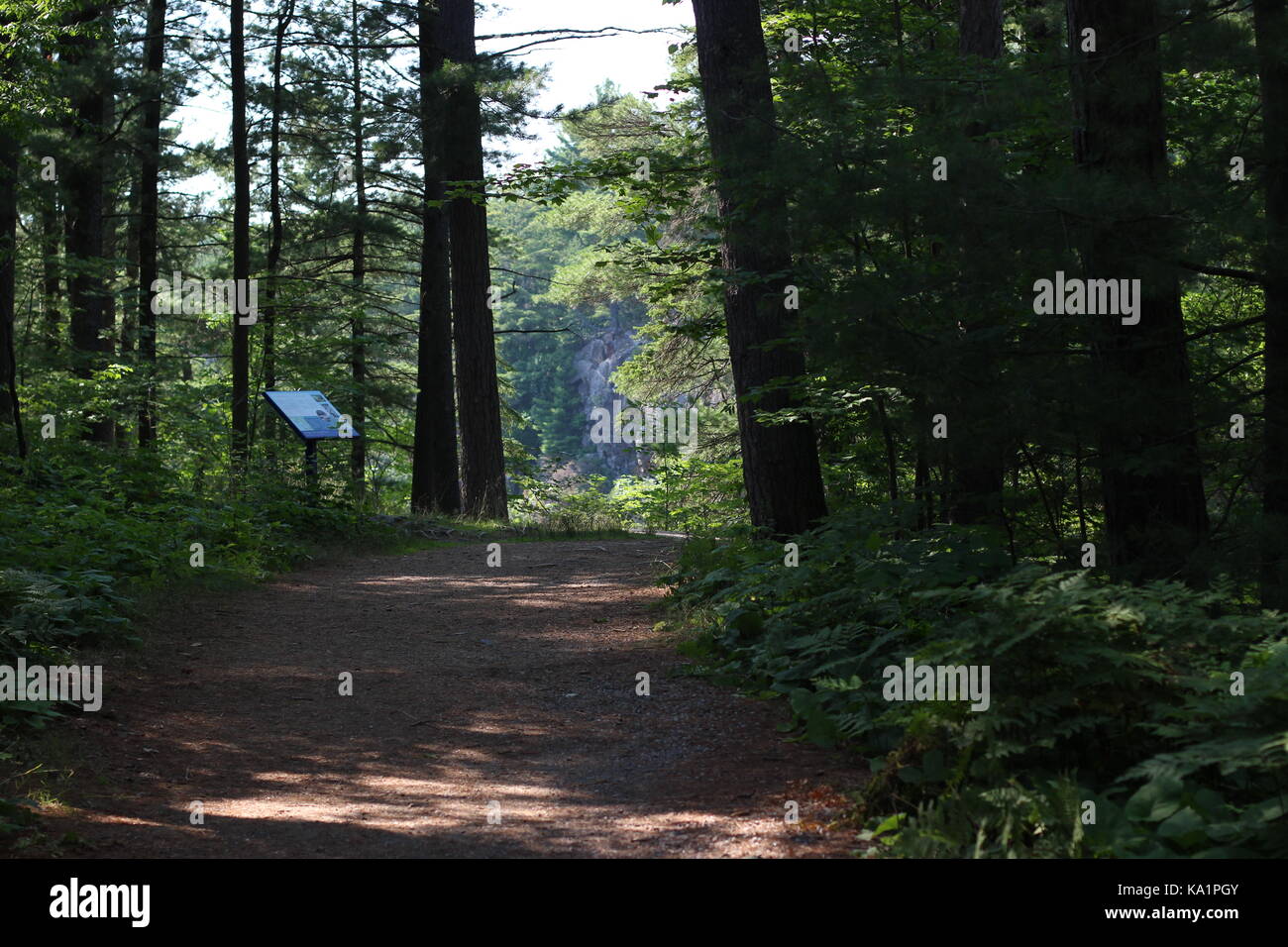 Pathway distance hi-res stock photography and images - Alamy
