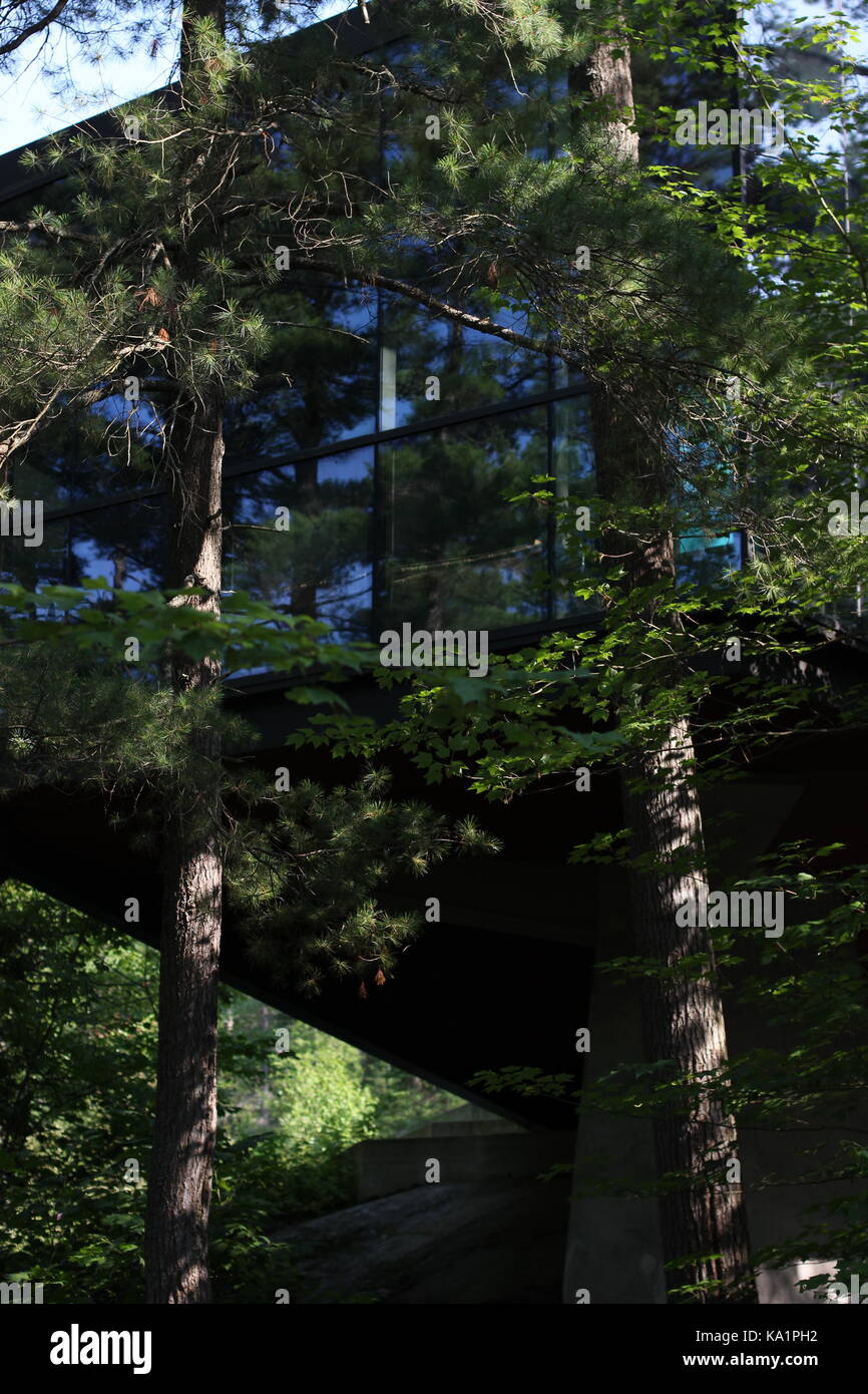 Trees with modern building hi-res stock photography and images - Alamy