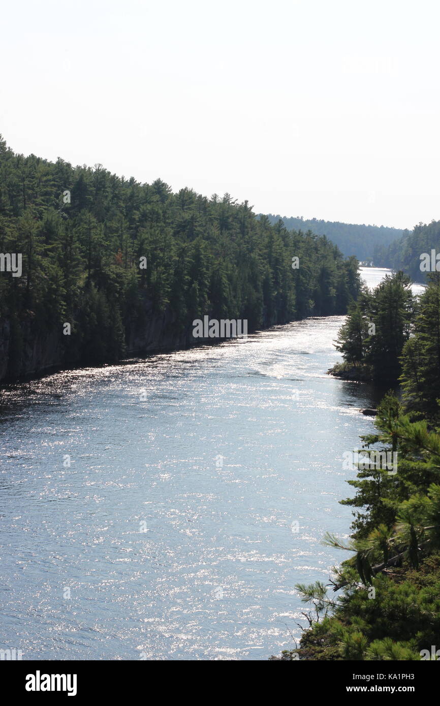 Trees and riverbank and aerial hi-res stock photography and images - Alamy
