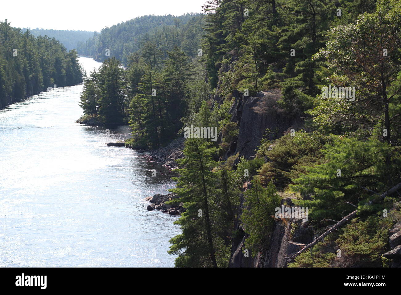 Water meets treeline hi-res stock photography and images - Alamy
