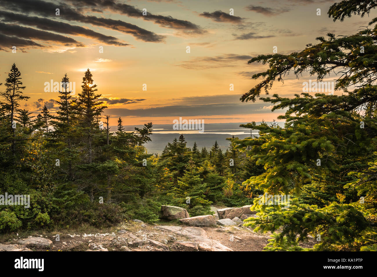 Forest at Sunset with Clouds and Colorful Sky Stock Photo - Alamy