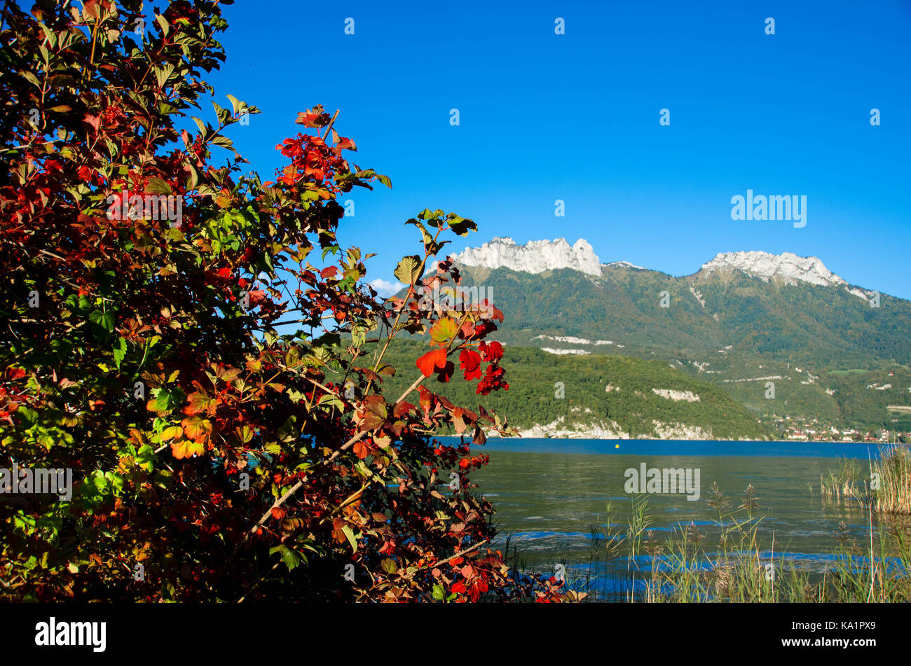 Lake of Annecy in early autumn Stock Photo - Alamy