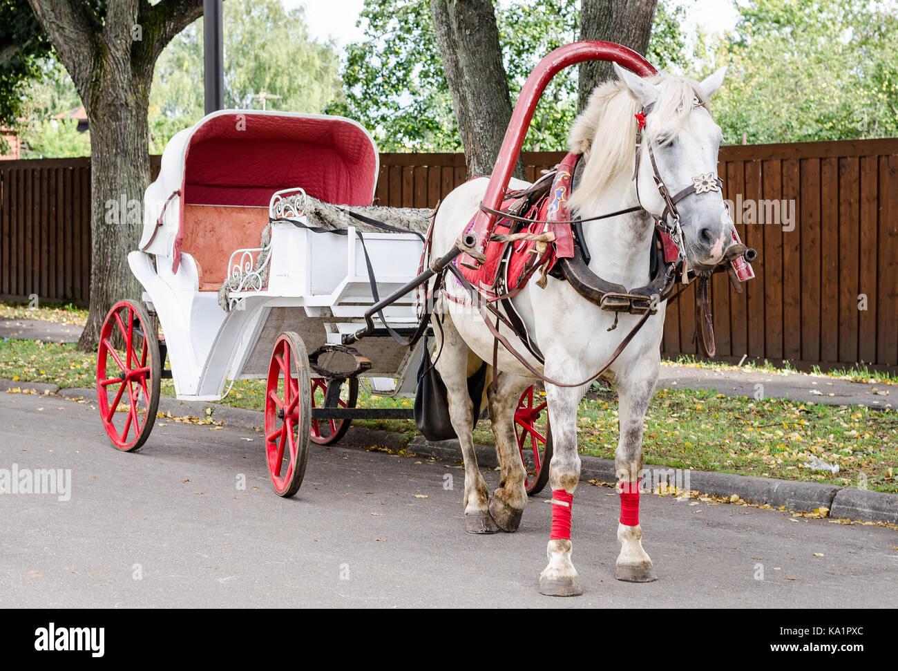 Russia russian horse carriage hi-res stock photography and images - Alamy