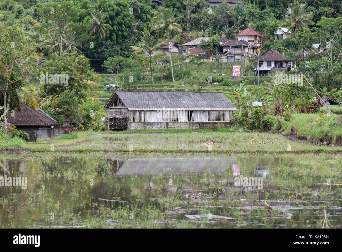 Mount Agung Bali Eruption High Resolution Stock Photography and Images ...
