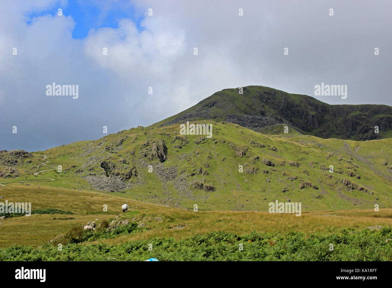 Old Man Coniston, Lake District Stock Photo - Alamy