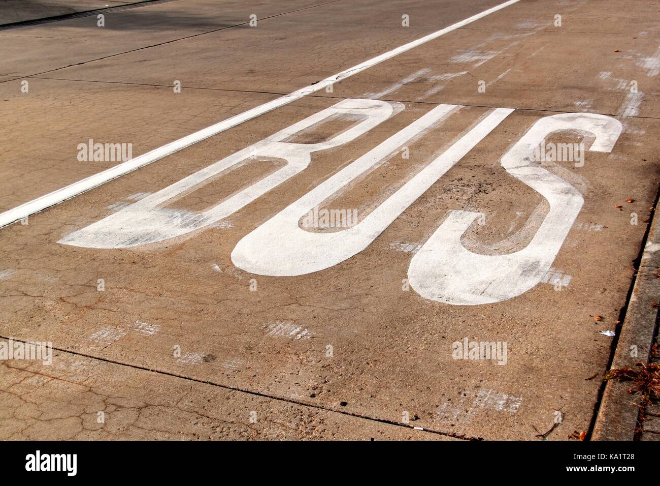 Bus lane. BUS sign on a concrete road. Traffic signs in the city Stock ...