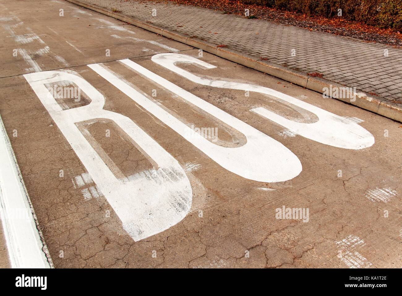 Bus lane. BUS sign on a concrete road. Traffic signs in the city Stock ...