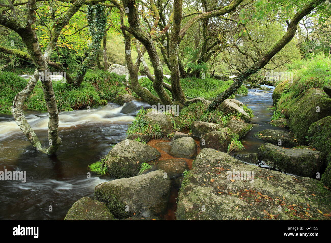River Dart at Hexworthy bridge, Dartmoor, Devon, England, UK Stock ...