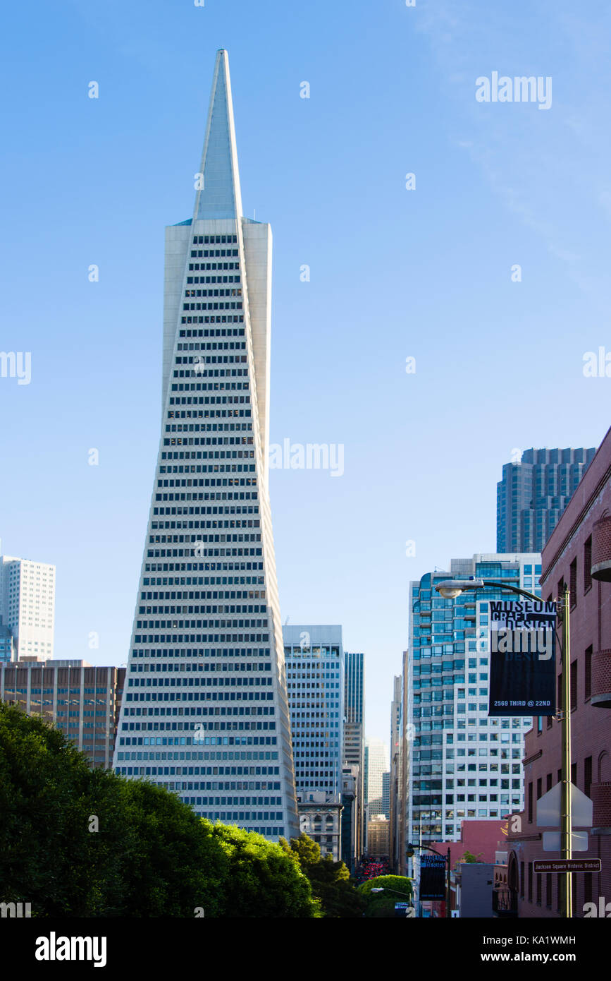 Transamerica Building Not Pyramid High Resolution Stock Photography and ...