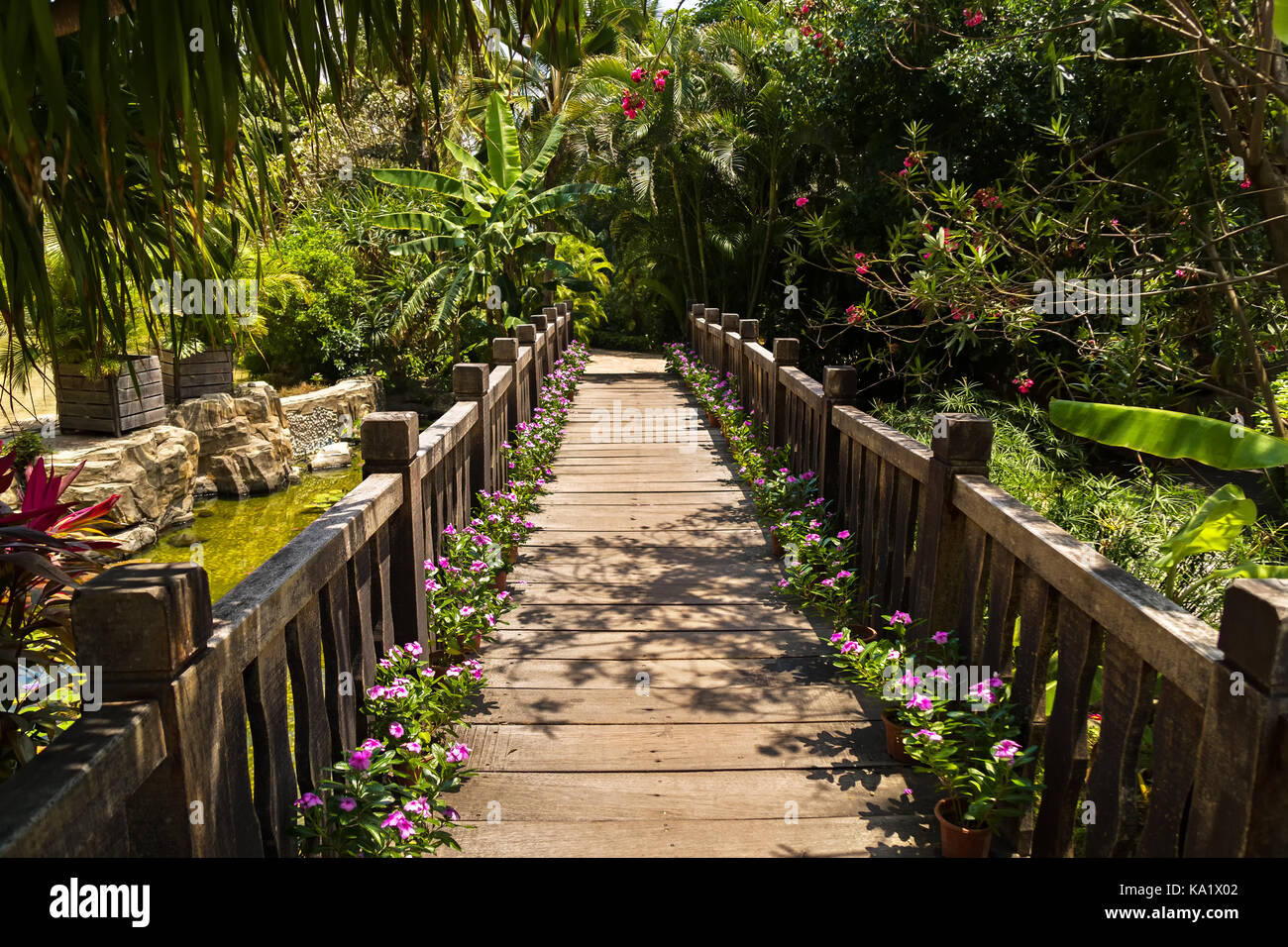 Beautiful wooden bridge in tropical park Stock Photo - Alamy
